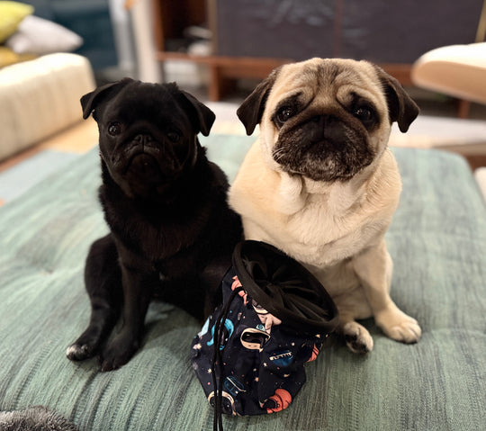 Pug Life: Discover Exclusive Pug Products and Accessories